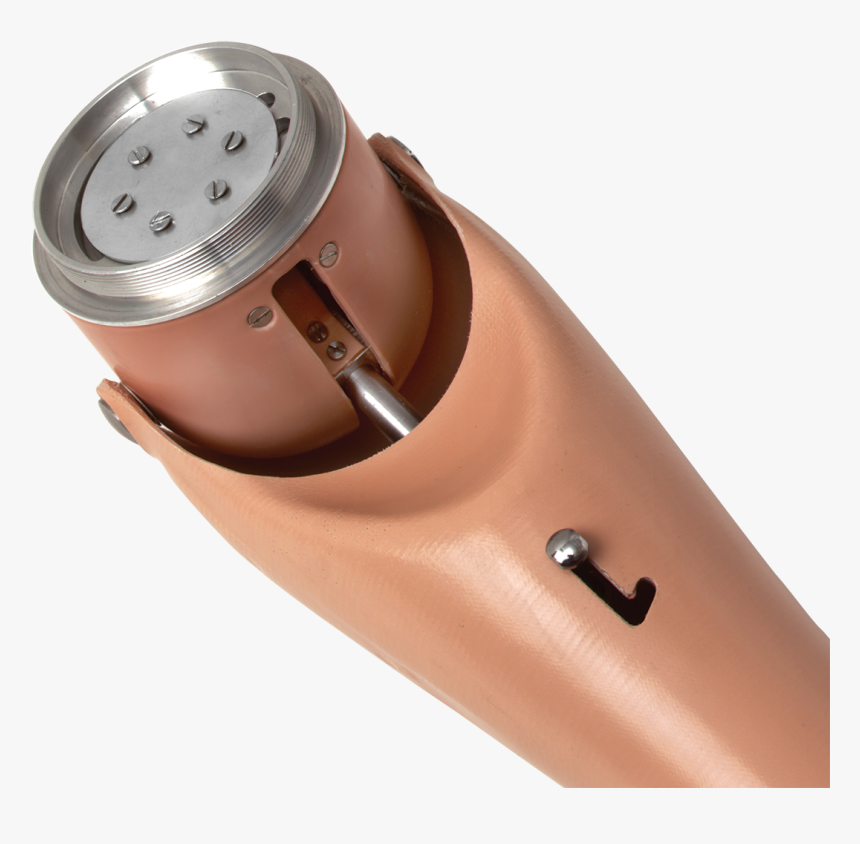 Forearm Png, Transparent Png , Transparent Png Image - PNGitem