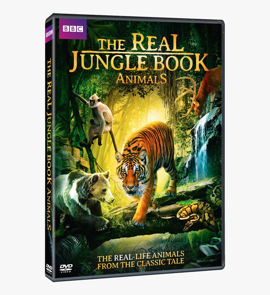 Real Jungle Book Bbc, HD Png Download , Transparent Png Image - PNGitem