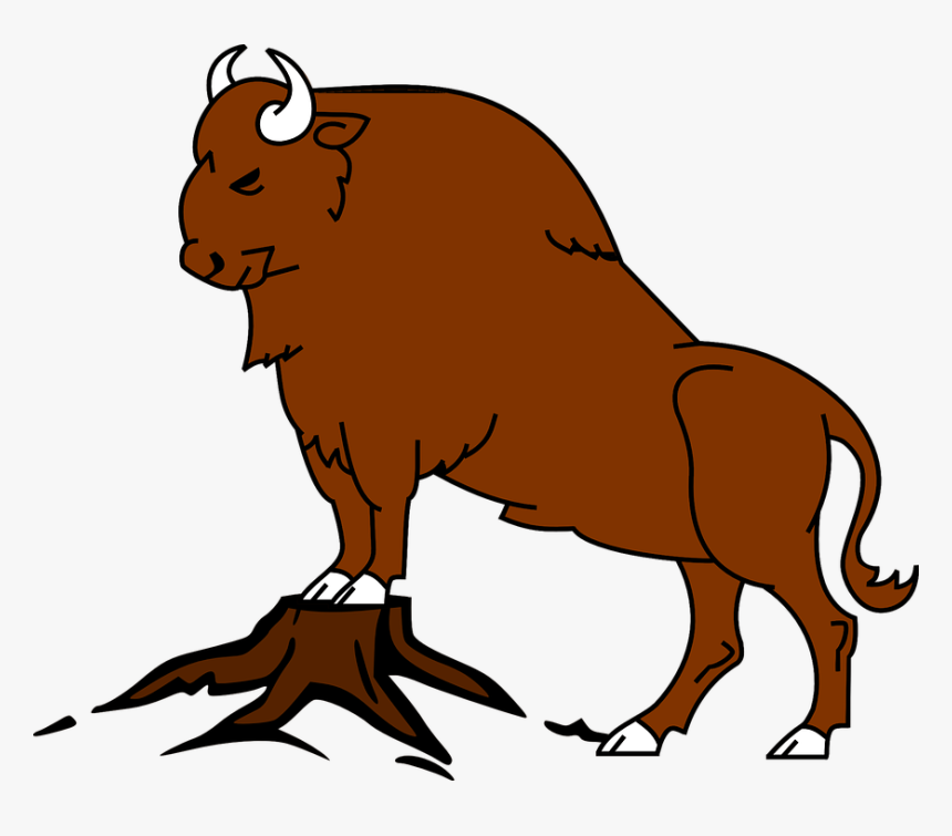 American Ox Clipart, HD Png Download , Transparent Png Image - PNGitem