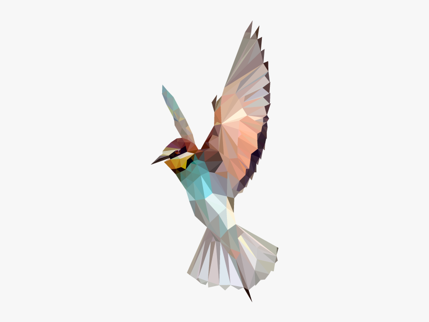 Bird Polygon Google Pinterest - Bird Polygon, HD Png Download ...