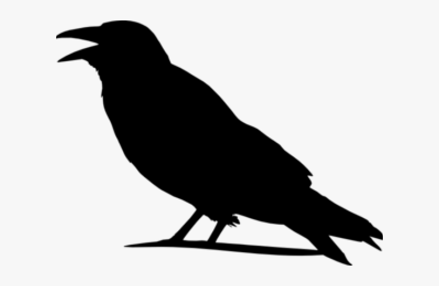 Crow Outline Template