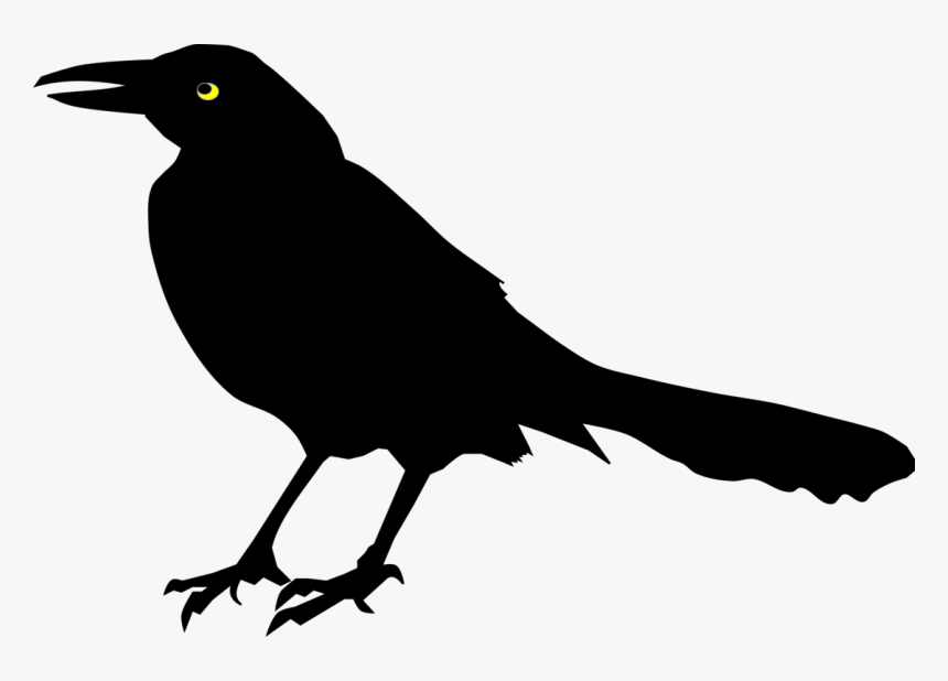 Perching Bird,rook,new Caledonian Crow - Blackbird In Tree Clip Art, HD ...
