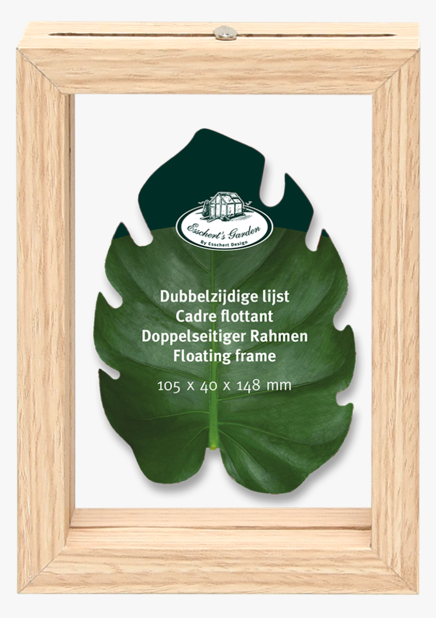 Floating Frame S, HD Png Download , Transparent Png Image - PNGitem