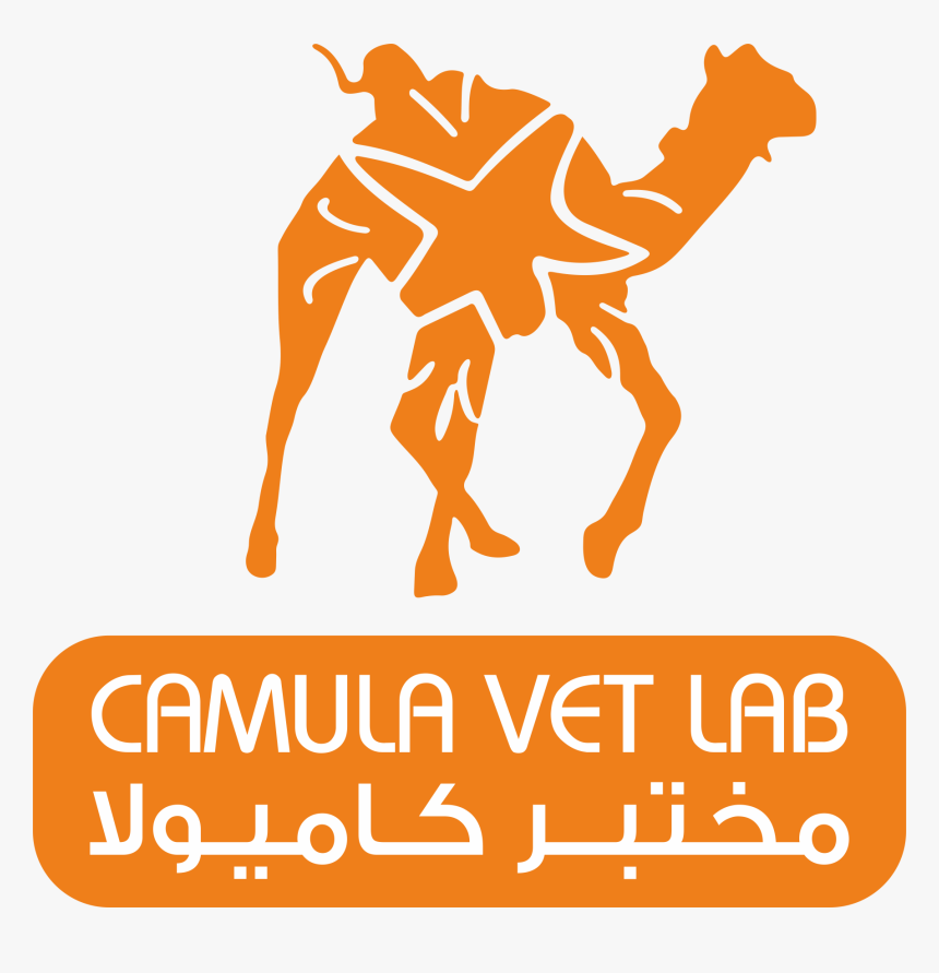 Lab Png, Transparent Png , Transparent Png Image - PNGitem