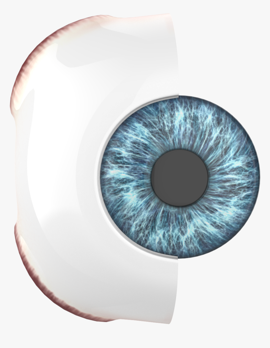 Human Eyes Png, Transparent Png , Transparent Png Image - PNGitem