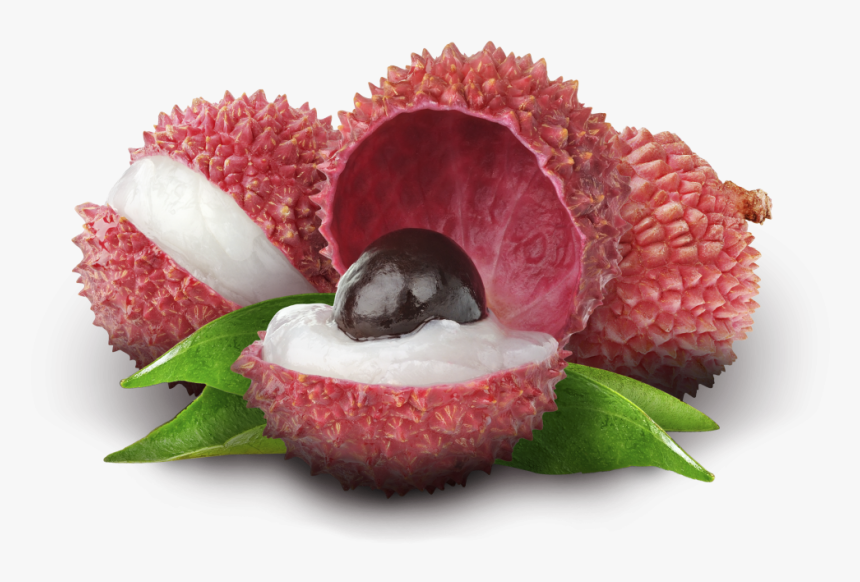 Lychee White Background Hd Photos, HD Png Download , Transparent Png ...