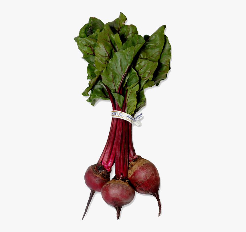 Beet Png, Transparent Png , Transparent Png Image - PNGitem