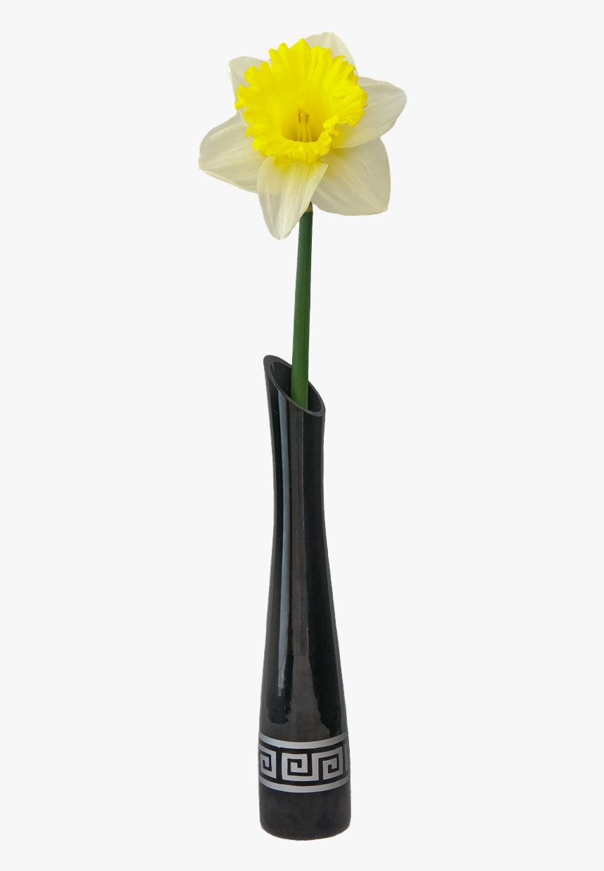 Pictures, Free Photos, Free Images, Royalty Free, Free, HD Png Download ...