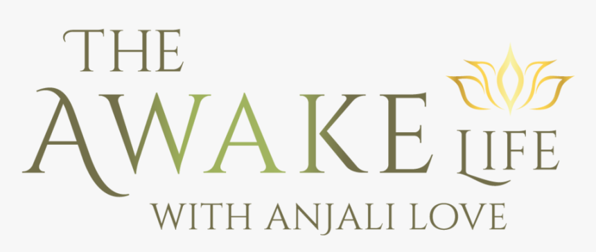 Logo Anjali, HD Png Download , Transparent Png Image - PNGitem