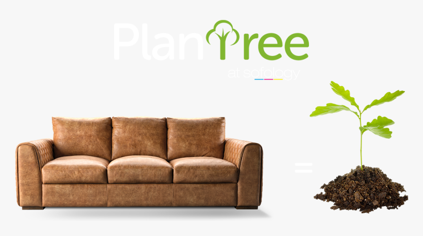 Plan Tree, HD Png Download , Transparent Png Image - PNGitem