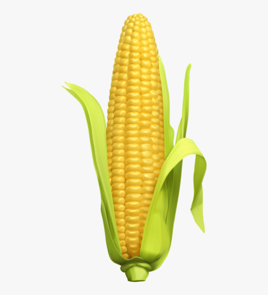 Free Png Download Corn Png Images Background Png Images, Transparent ...