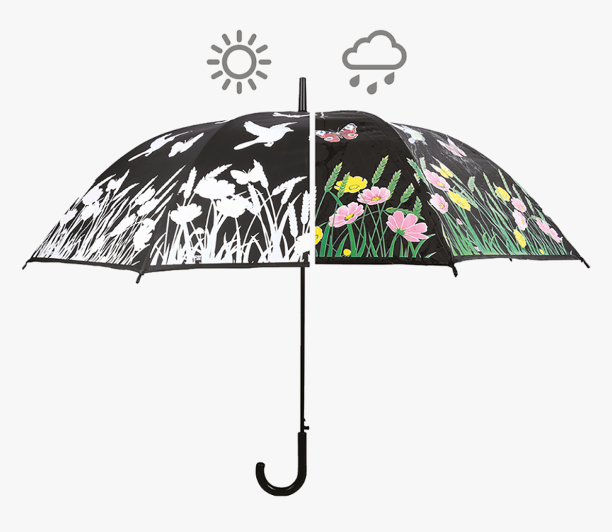 Colour Changing Umbrella Birds, HD Png Download , Transparent Png Image ...