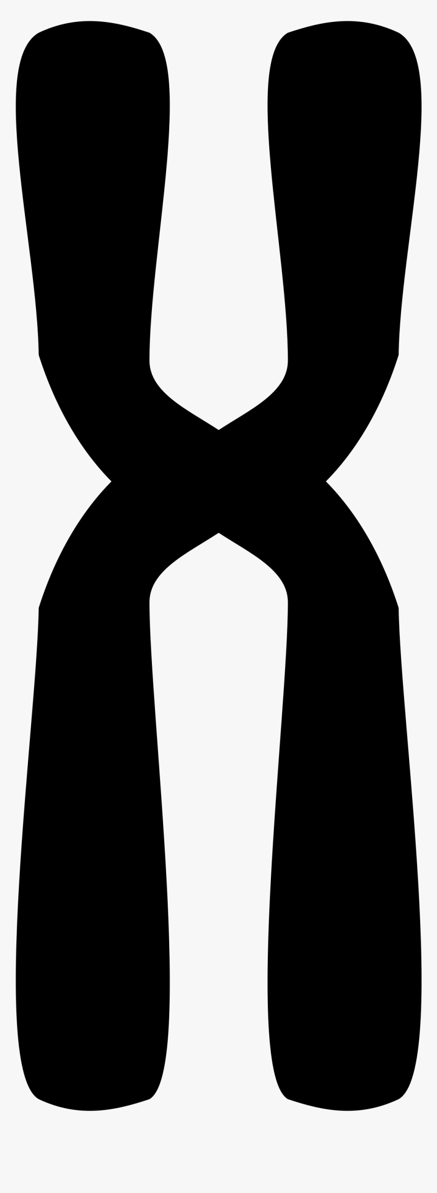 Chromosome Png, Transparent Png , Transparent Png Image - PNGitem