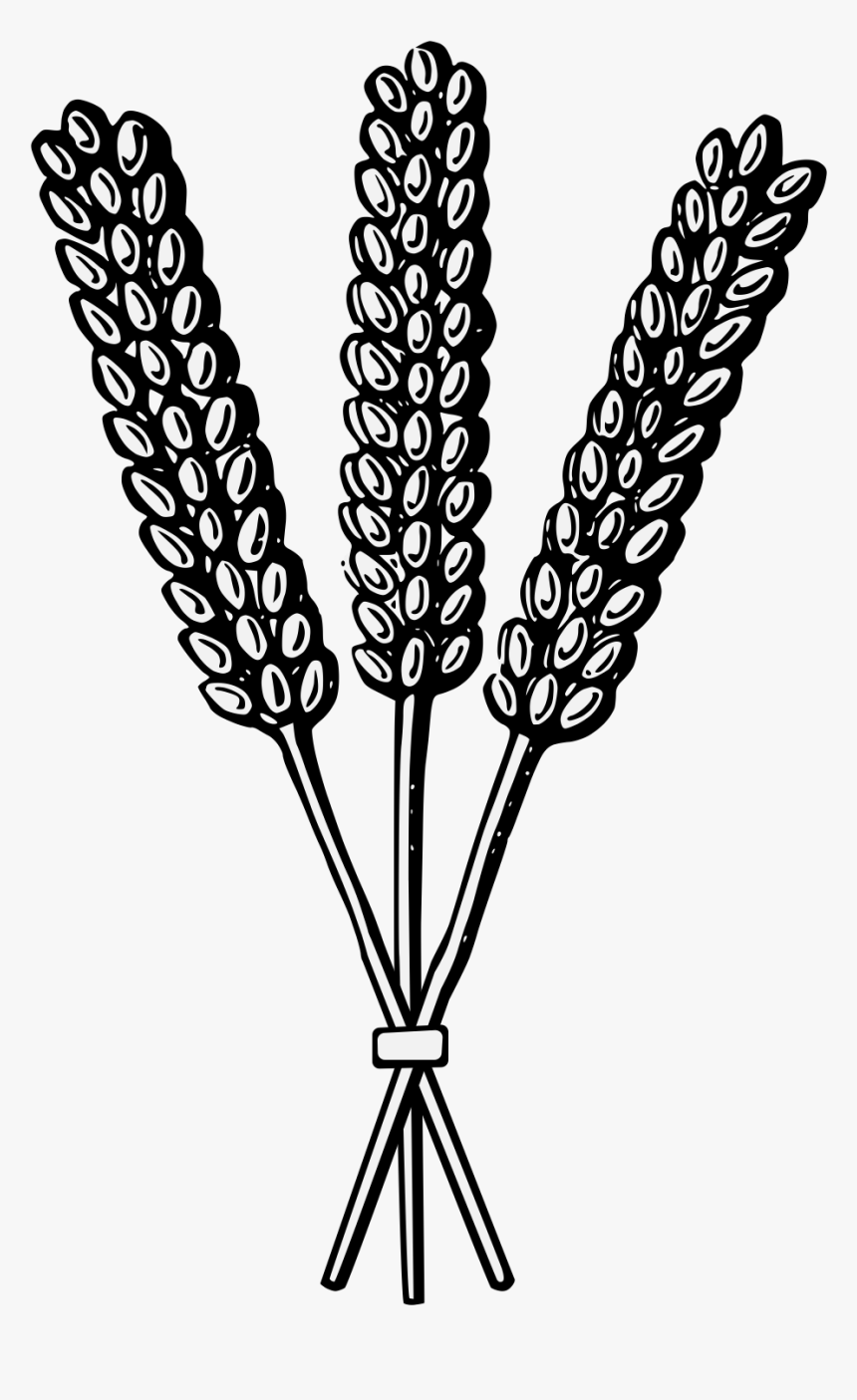 Heraldry Wheat Clipart , Png Download, Transparent Png , Transparent ...