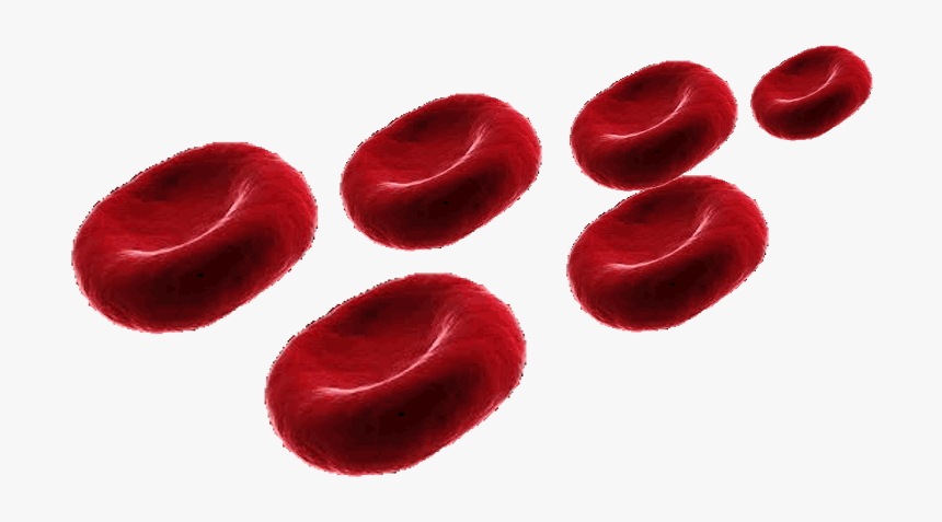 Blood Cells Png, Transparent Png , Transparent Png Image - PNGitem