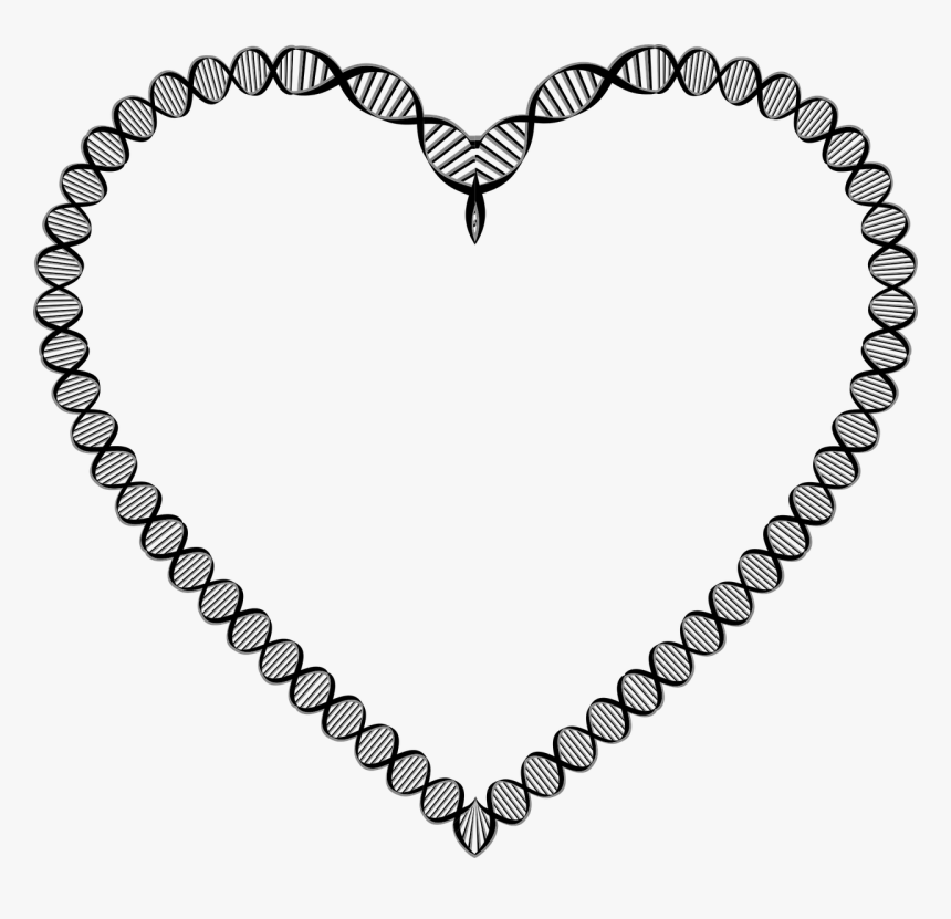 Cells Png, Transparent Png , Transparent Png Image - PNGitem