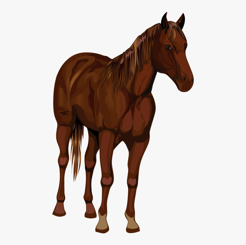 Caballo Png, Transparent Png , Transparent Png Image - PNGitem