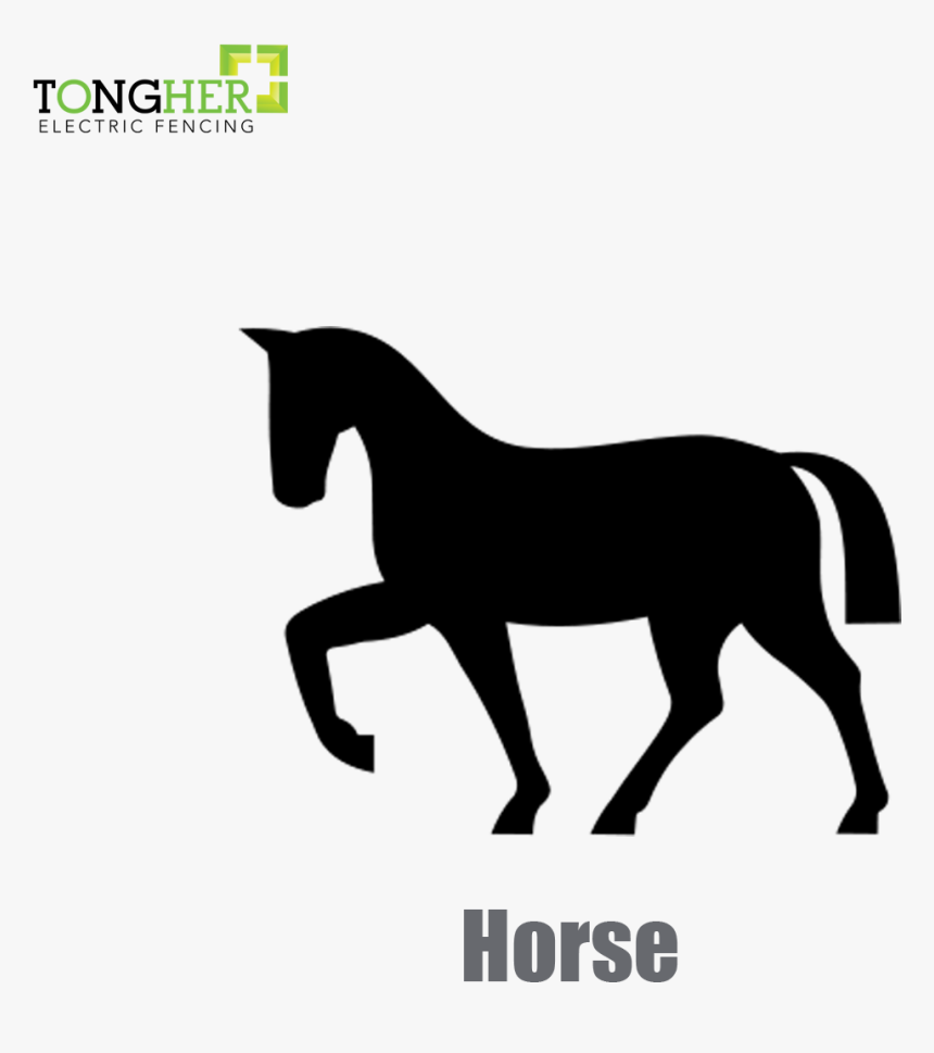Caballo Png, Transparent Png , Transparent Png Image - PNGitem