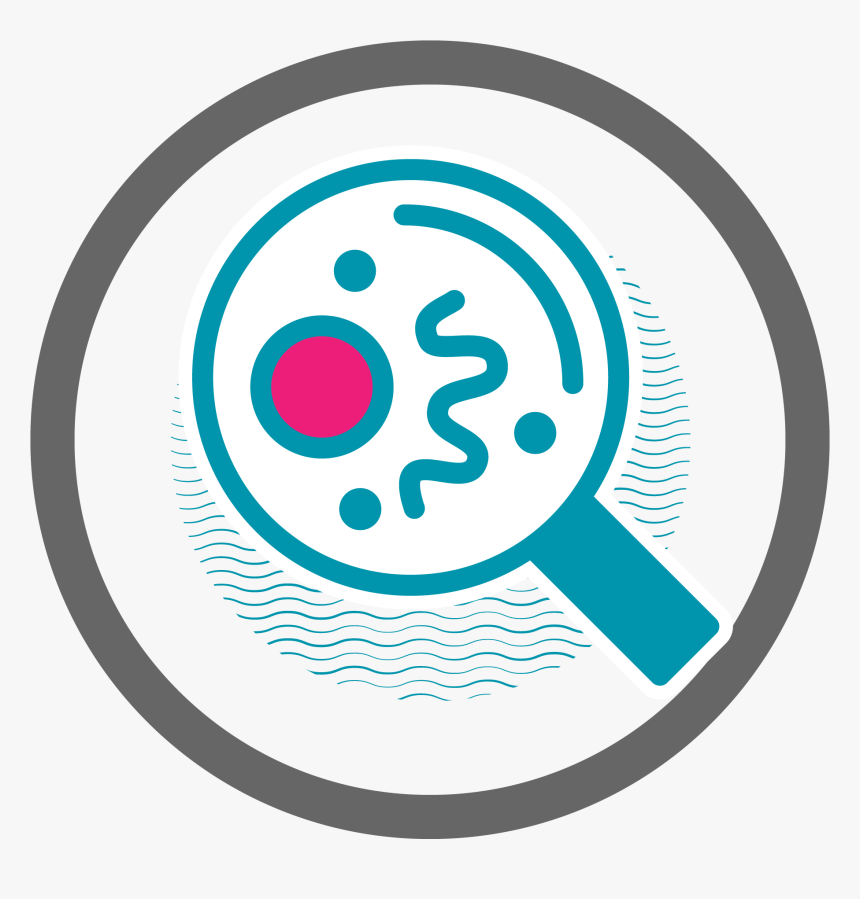 Biology Png, Transparent Png , Transparent Png Image - PNGitem