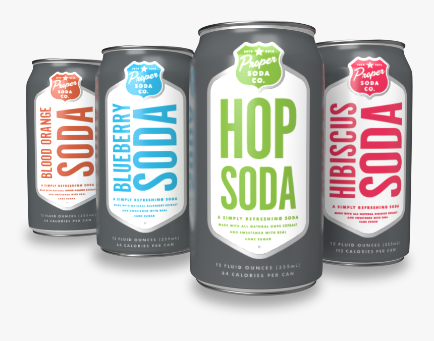 Proper Soda 2020 Family Pose, HD Png Download , Transparent Png Image ...