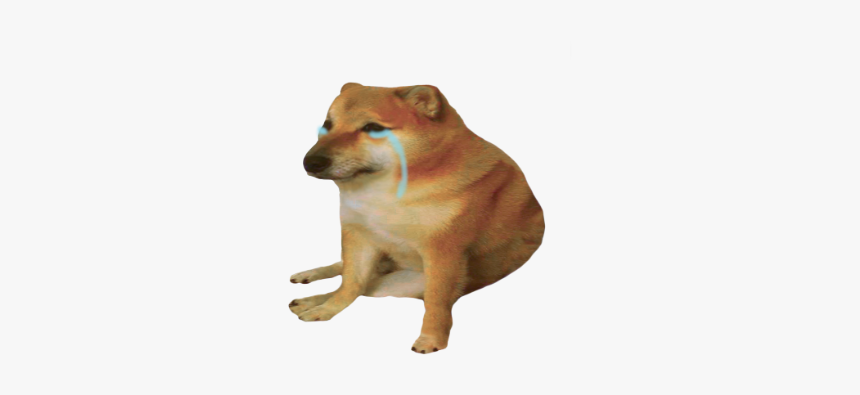 #sad #cheems #doge #meme #dogememe, HD Png Download , Transparent Png ...