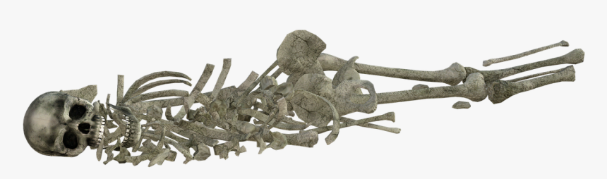 Pile Of Bones Png, Transparent Png , Transparent Png Image - PNGitem