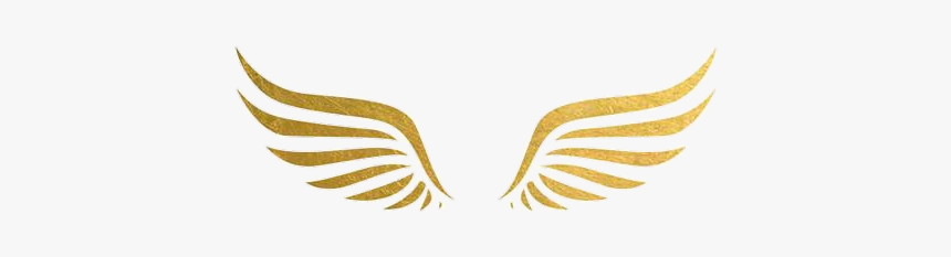 Gold Wings Png, Transparent Png , Transparent Png Image - PNGitem