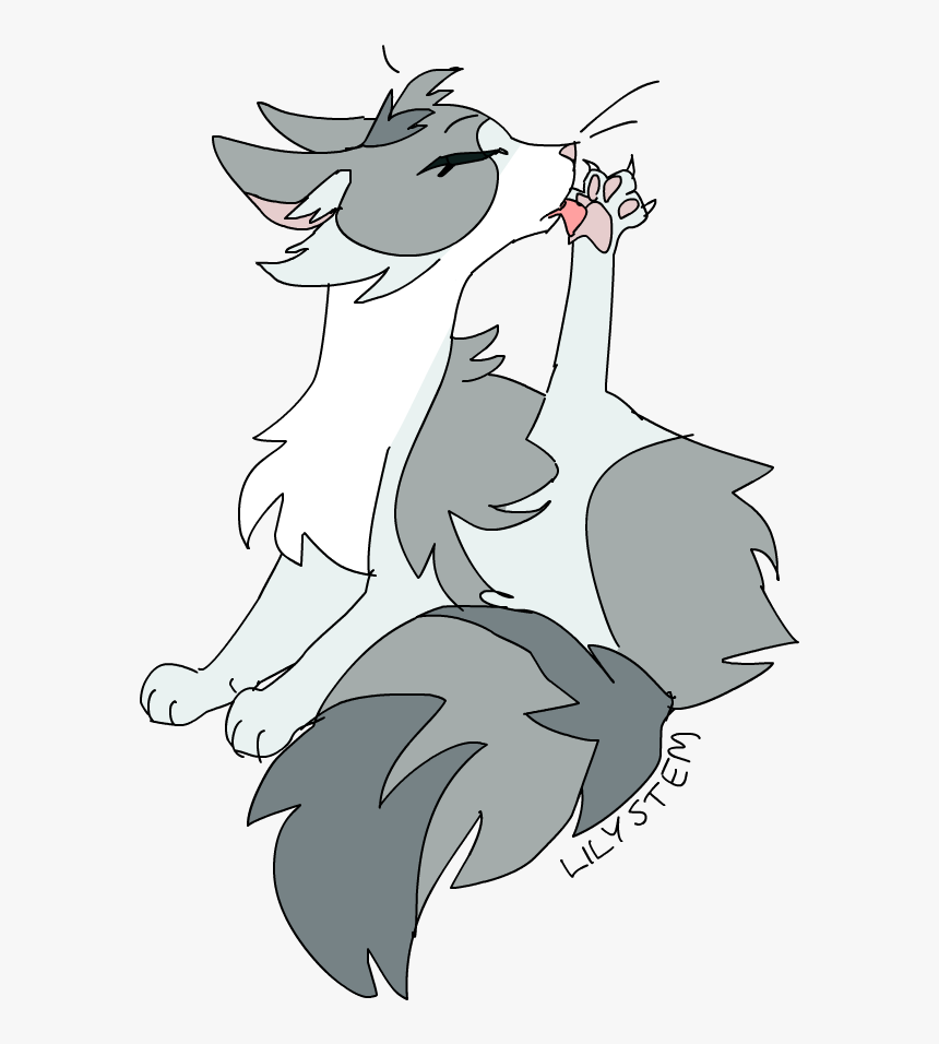 Transparent Angry Cat Png, Png Download , Transparent Png Image - PNGitem