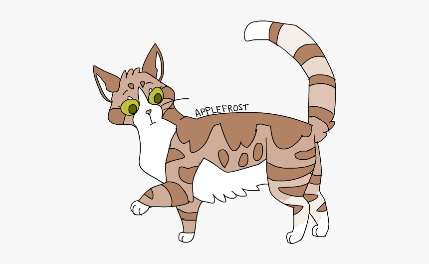 Angry Cat Png, Transparent Png , Transparent Png Image - PNGitem