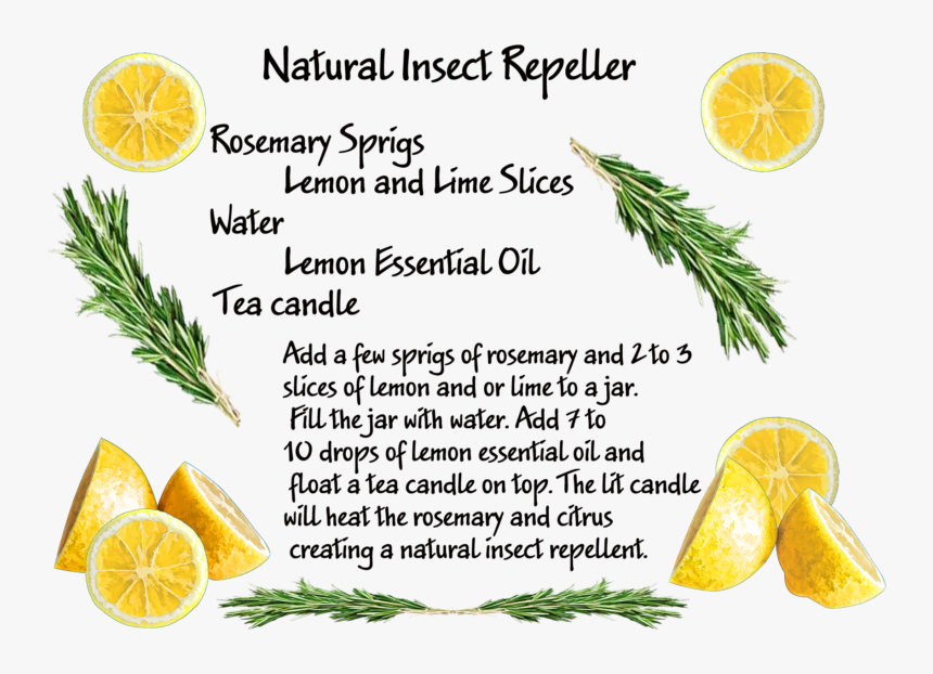 Have A Project For Me, HD Png Download , Transparent Png Image - PNGitem