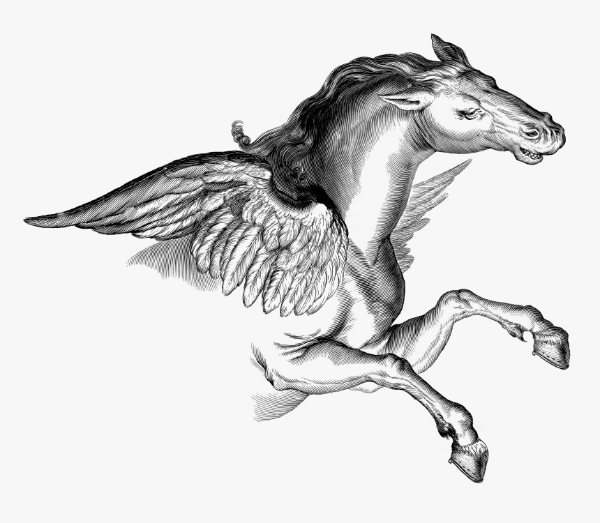 Web Version Full Resolution , Png Download, Transparent Png ...