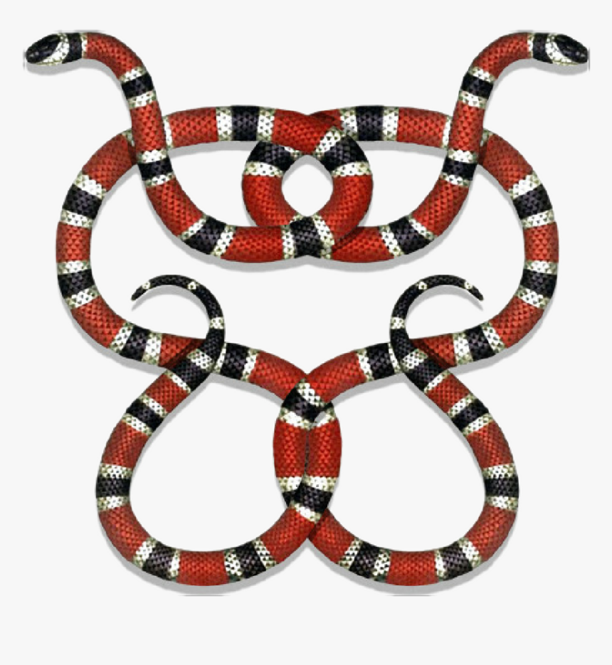 Gucci Guccigang Snakes Guccilogo Logo Stickerpng - Coral Snake Draw ...