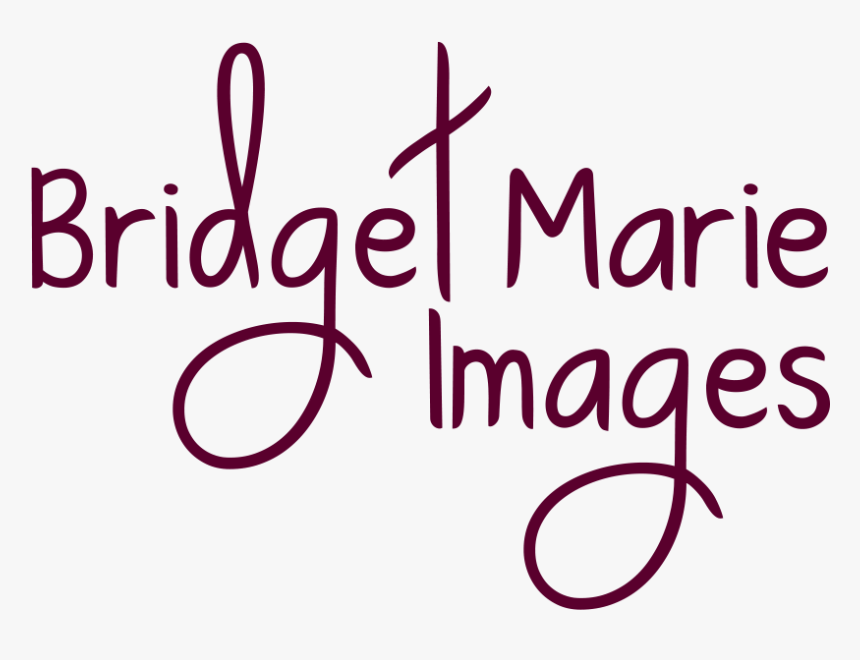 Bridget Marie Images - Calligraphy, HD Png Download , Transparent Png ...