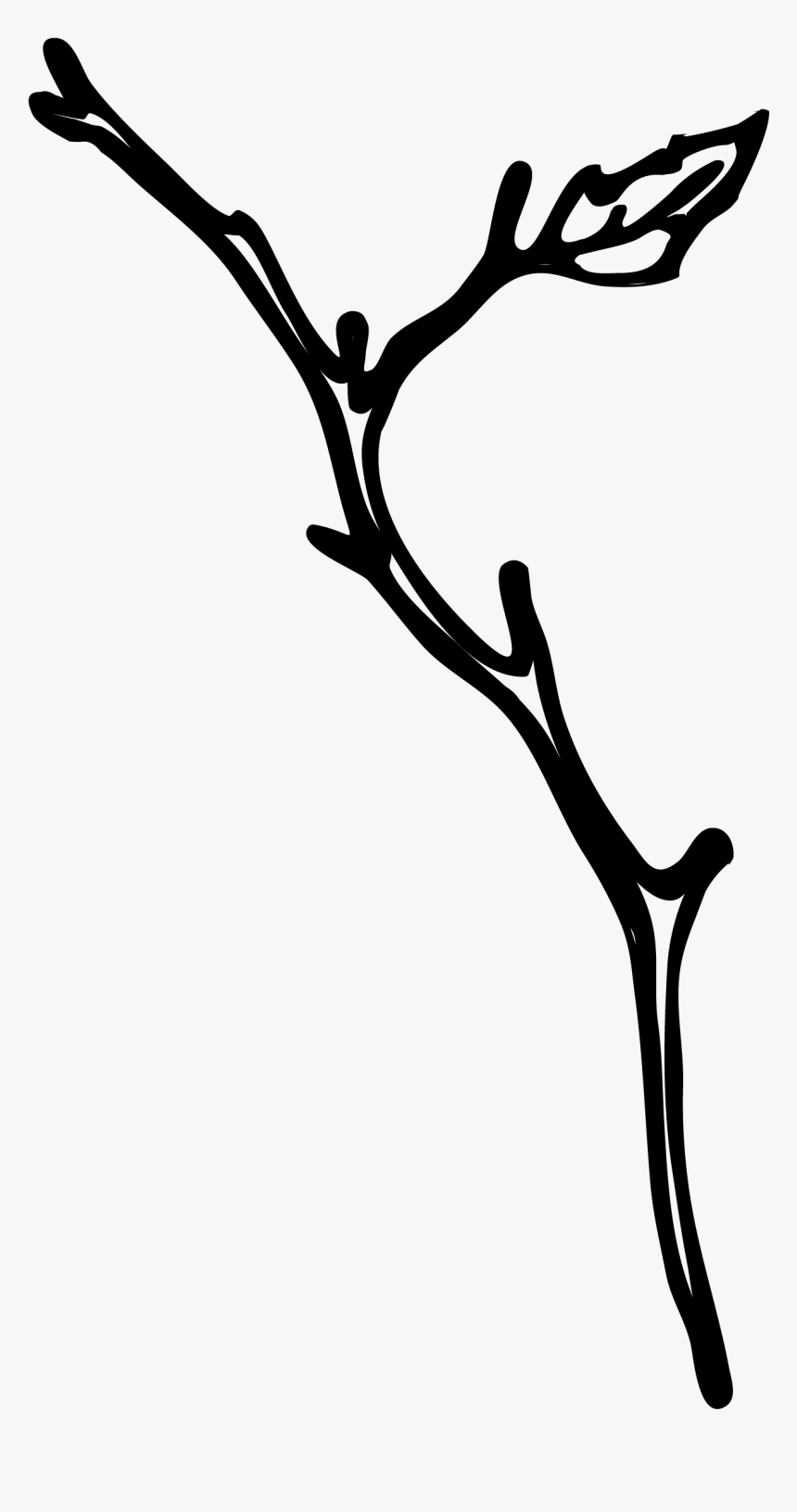 Twig Clipart Black And White