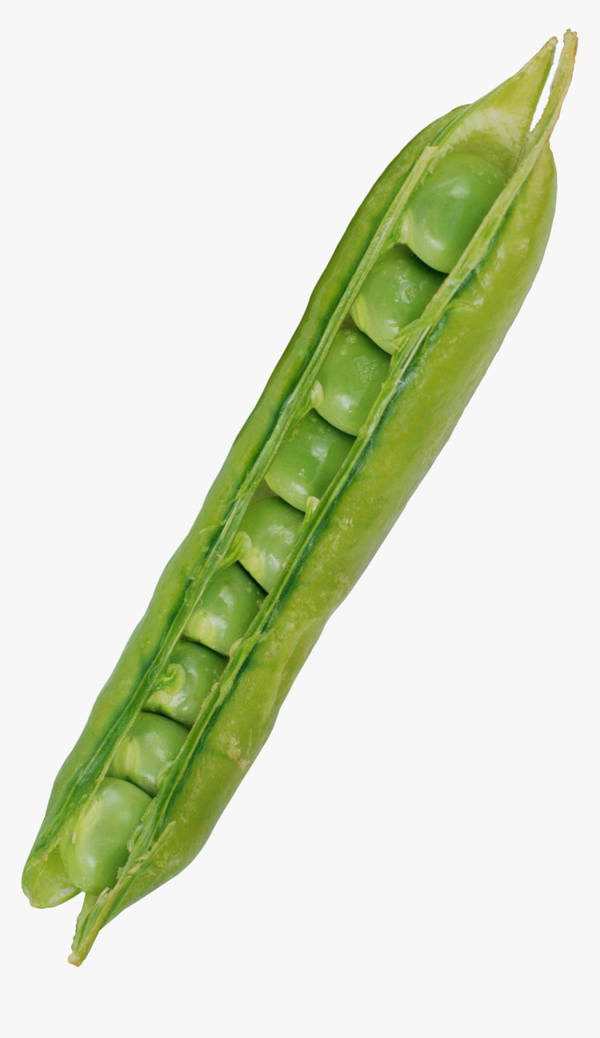 Download This High Resolution Pea Png Icon, Transparent Png ...
