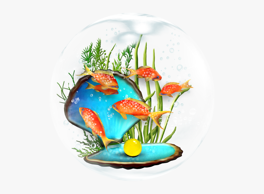 Fish Bowl Png-clipart, Transparent Png , Transparent Png Image - PNGitem
