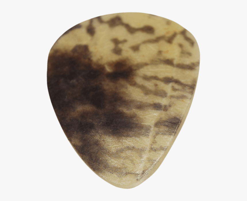 Real Turtle Shell Guitar Pick Tortoise Shell Guitar, HD Png Download ...