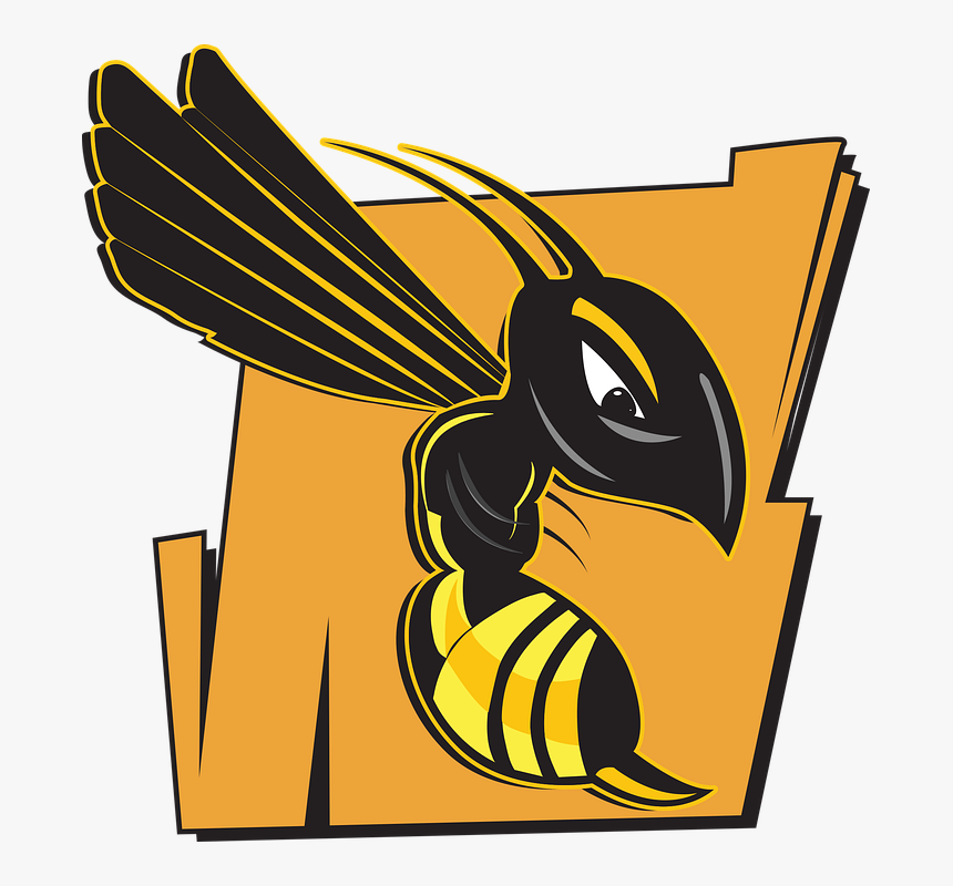 Hornet Png, Transparent Png , Transparent Png Image - PNGitem