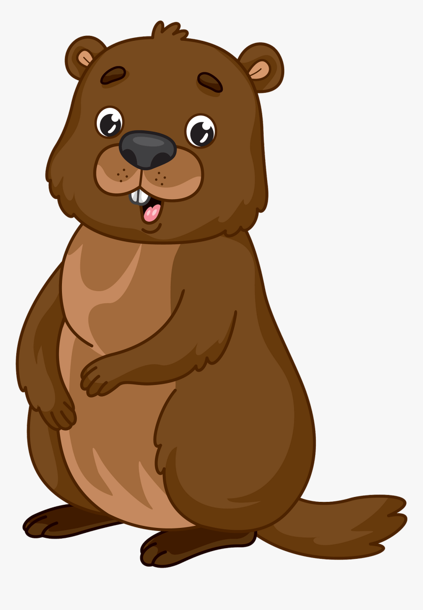 Groundhog Png, Transparent Png , Transparent Png Image - PNGitem