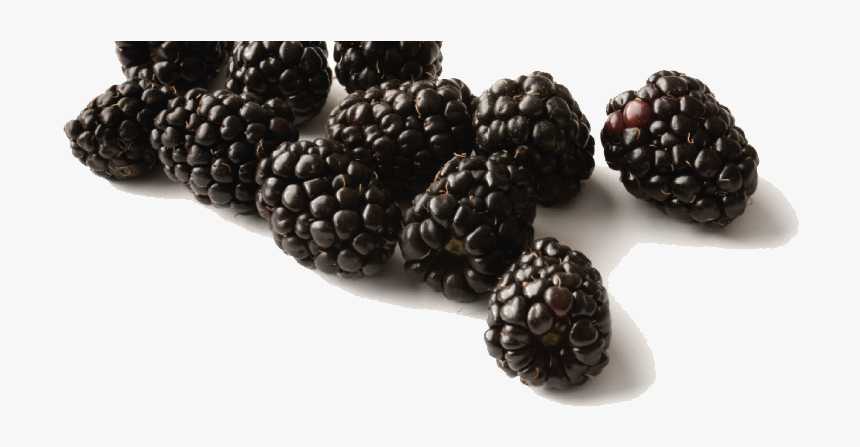 Black Raspberries Png Free Download, Transparent Png , Transparent Png ...