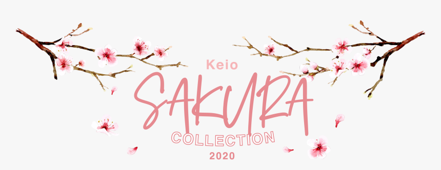 Sakura Collection｜京王百貨店 新宿店, HD Png Download , Transparent Png Image ...