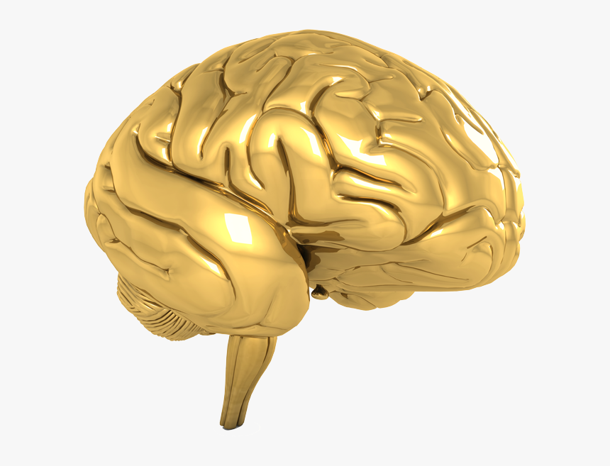 Nootroo Gold Brain Nootropic Clear, HD Png Download , Transparent Png ...