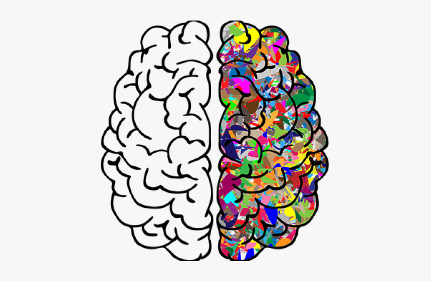 Brain Png Transparent Images, Png Download , Transparent Png Image ...