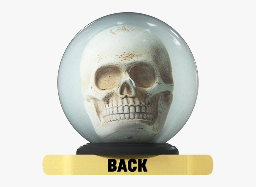 Clear Skull, HD Png Download , Transparent Png Image - PNGitem