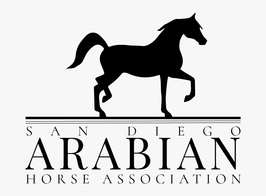Arabian Show Horse Logo , Png Download, Transparent Png , Transparent ...