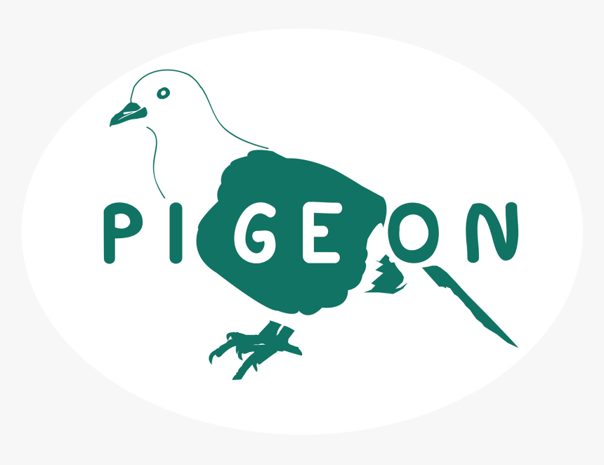 Pigeon Vector Png, Transparent Png , Transparent Png Image - PNGitem