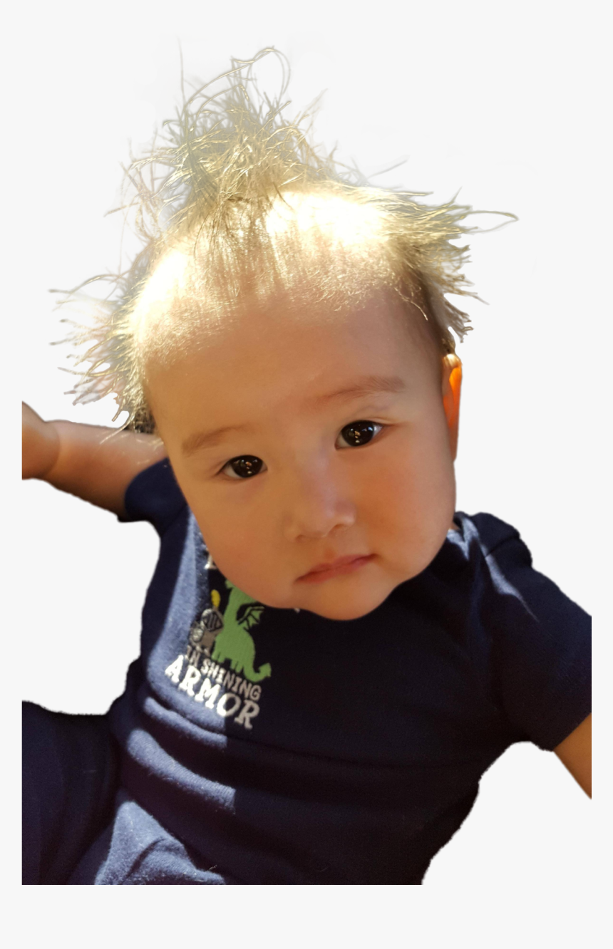 Crazy Hair Png, Transparent Png , Transparent Png Image - PNGitem