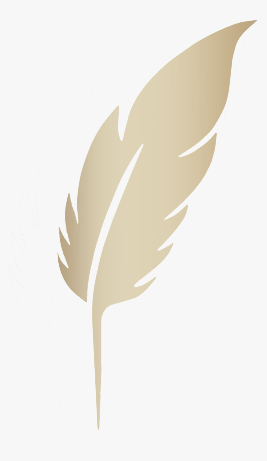 Pluma Png, Transparent Png , Transparent Png Image - PNGitem