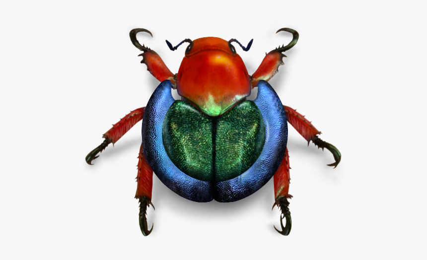 Beetle Transparent Images, HD Png Download , Transparent Png Image ...
