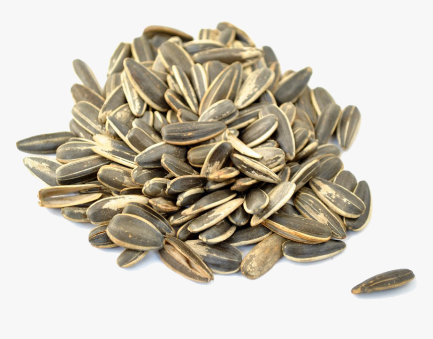Sunflower Seeds Png Picture, Transparent Png , Transparent Png Image ...